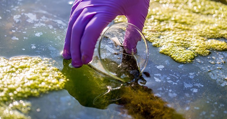 Analysis of Hydrocarbon contamination in water - CHRONECT Workstation