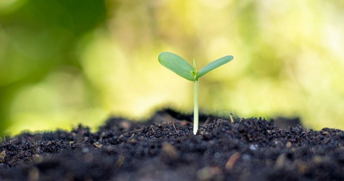 PAH Analysis in soil with PAL3 RTC based HAPEX platform