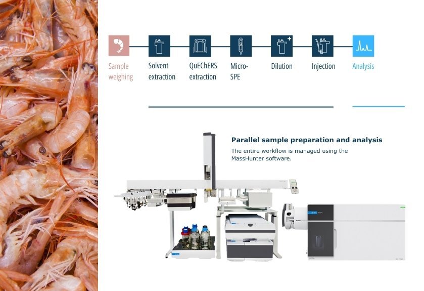 Automated Micro-SPE Workflow